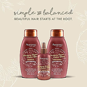 Aveeno Color Protect & Strengthen+ Blackberry & Quinoa Conditioner (12 Fl Oz) with Aveeno Color Protect Strengthen+ Blackberry Quinoa Shampoo, Fresh, 12 Fl Oz