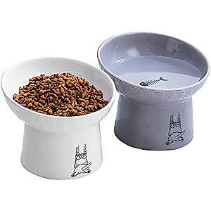6.5 Inch Extra Wide Ceramic Raised Cat Bowl Set, Tilted Elevated Cat Bowls for Food and Water, Anti Whisker Fatigue, Stress Free, Anti Vomiting, Protect Spine, Lead & Cadmium Free, White & Grey