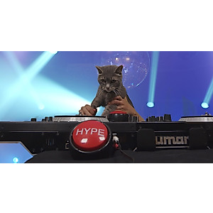 Hype Button | Hip Hop Air Horn Sound Effect Button (Batteries Included) Stocking Stuffer Back to School Classroom Teacher Office Desk Sales Marketing Gag Nut Funny Toy Class