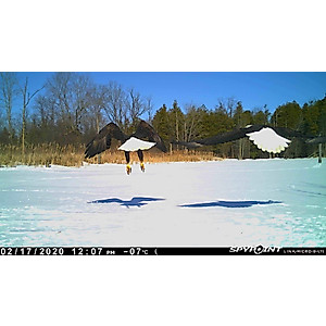 SPYPOINT Link-Micro-S-LTE Solar Cellular Trail Camera with LIT-10 Battery, Micro SD Card, Card Reader, and Mount (Link-Micro-S-LTE-V)