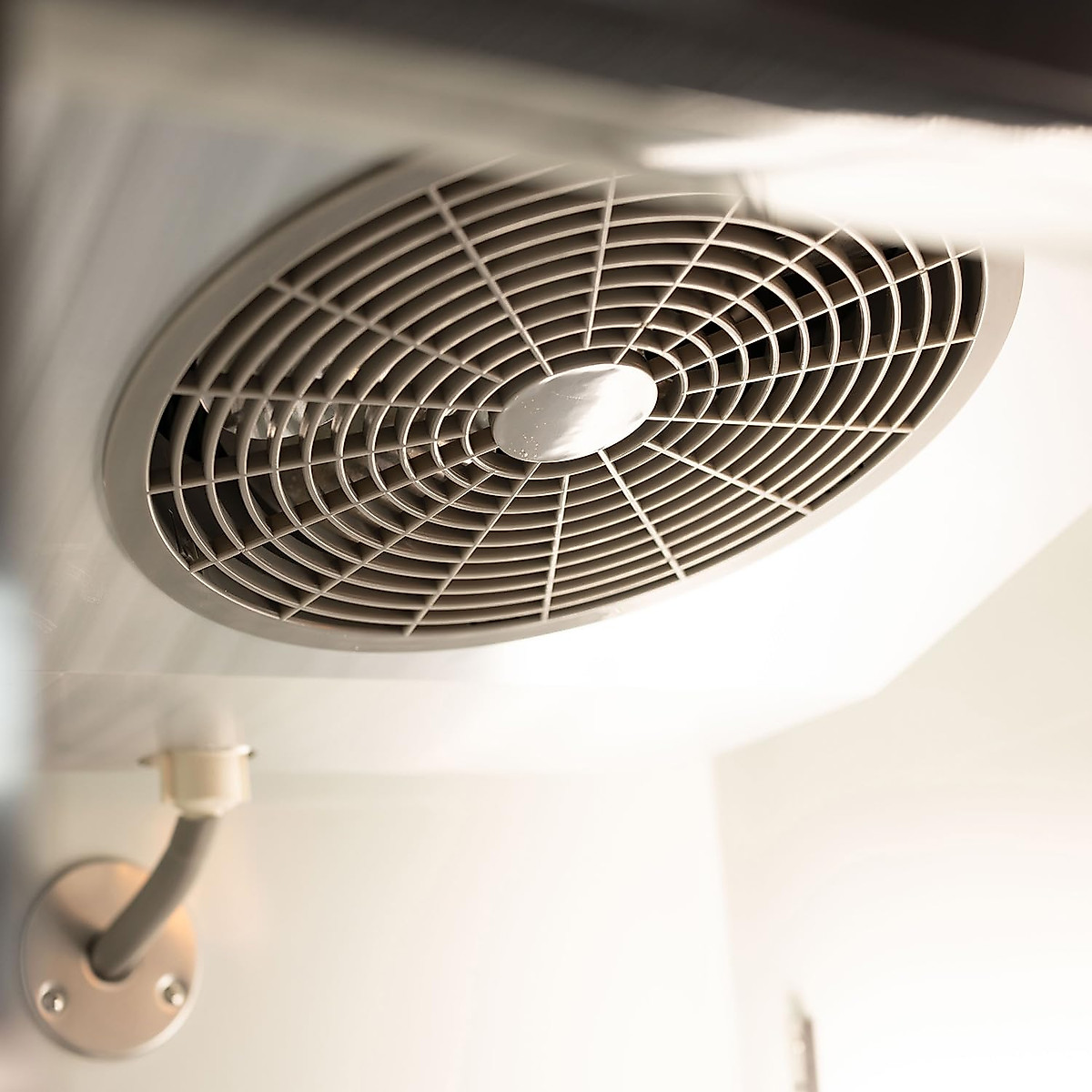 PEAKCOLD Single Door Commercial Reach In Stainless Steel Freezer, White Interior; 23 Cubic Ft, 29 Wide inch