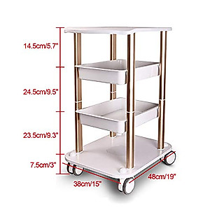 4-Layer Trolley Stand Multifunctional Rolling Cart Aluminum and Plastic Barber Shop Bar Household Commercial Storage Rack Shelf with Wheels for Salon Machine Equipment Instrument 27.6X 18.9X 15in