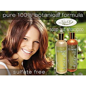 NaturOli Soap Berry Shampoo - Normal to Dry 16oz - All Natural Hair Care Sulfate Free - Made with Soap Berries - Gluten Free - Vegan