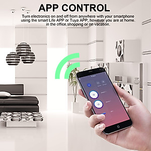 Toxaoii Mini WiFi Smart Plug, Outlet Extender Dual Socket Plugs with USB, Surge Protector with Remote Control and Timer Function, Compatible with Alexa, Google Assistant, No Hub Required