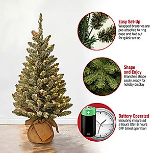 National Tree Company Pre-lit Artificial Mini Christmas Tree | Includes Small White LED Lights and Cloth Bag Base | Snowy Concolor Fir Burlap - 3 ft, Brown/Green