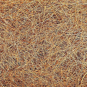 Coconut Husk Substrate for Reptile Bedding and Plants, Loose (10 oz)