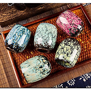 CteaTs Chinese/Japanese Style Ceramic Tea Cup Set Coffee Mug Asian Kung Fu Teacups Ceramic Yerba Mate Cup Set(5 Pack)