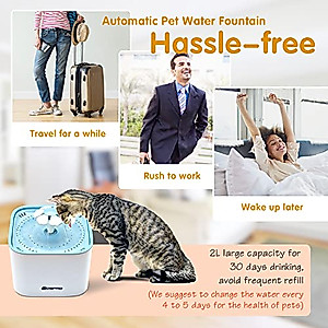 Pet Fountain Cat Water Dispenser - Healthy and Hygienic Drinking Fountain Super Quiet Flower Automatic Electric Water Bowl with 2 Replacement Filters for Cats, Dogs, Birds and Small Animals