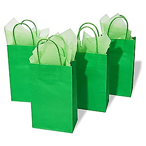 DjinnGlory 24 Pack Small Green Paper Gift Bags with Handles and 24 Tissue Paper for Christmas Holiday Birthday Wedding Baby Shower Party Favors Goodies, 9x5.5x3.15 Inch (Green)