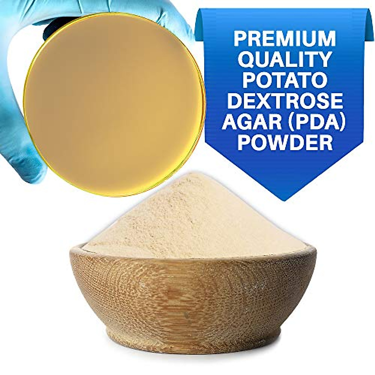 Potato Dextrose Agar Powder 100 Grams - Evviva Sciences - Makes 100-125 Premium Agar Petri Dishes - Premium Performance - Excellent for Mold & Fungus - Great for Mushrooms & Science Projects