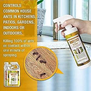 EcoVenger by EcoRaider Ant Killer & Crawling Insect Killer (Citrus Scent) 16oz, Kills Fast, Also Kills Spiders, Centipedes & More, Repels with Residual, Natural & Non-Toxic, Children & Pets Safe