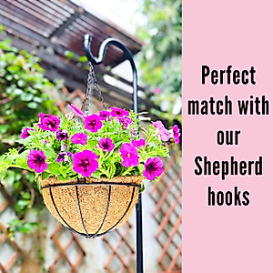 LaLaGreen Hanging Baskets for Plants (3 Pack, 10 Inch) Hanging Planter Outdoor with Coco Liner, Metal Wire Flower Basket Pots Holder Hanger Hook Deck Patio Porch Garden Balcony Outside Decoration