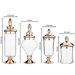 MyGift 4pcs Clear Glass Apothecary Jars with Metallic Copper-Tone Lids