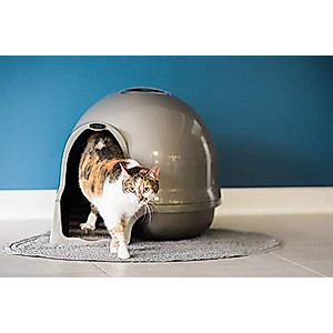 Petmate Booda Clean Step Cat Litter Box Dome (Made in the USA with 95% Recycled Materials)- Brushed Nickel