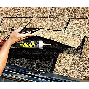 Sashco Through The Roof- Cement & Patching Sealant