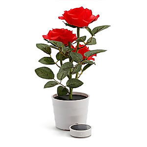 Solar Pot LED light Rose Table Lamp 3 Lights LED Flexible Desk Lamp for Room Decoration (Red)