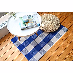 Buffalo Check Rug, Blue and White Plaid Rug Moven Doormat Washable Porch Kitchen Area Rugs,Decoration for Indoor & Outdoor Entryway, Patio, Kitchen,Laundry (23.5"×35.4") (Blue&White)