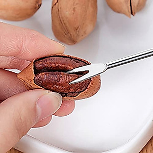 20 Pcs Robust and Lobster Forks, Sea Food Tools Set, Nut Cracker, Nut Picker Tool Fruit Fork Stainless Steel Walnut Clip Silver Colour Kitchen Gadgets