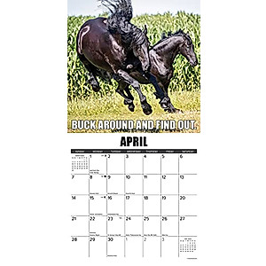 Willow Creek Press Horsin’ Around Monthly 2024 Wall Calendar (12" x 12")