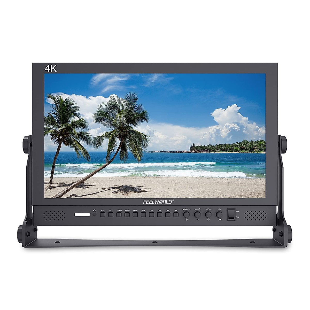 FEELWORLD P173-9HSD 17.3 Inch Design 1920x1080 Desktop Monitor for Broadcast LCD Monitoring with 3G SDI HDMI YPbPr Input Output