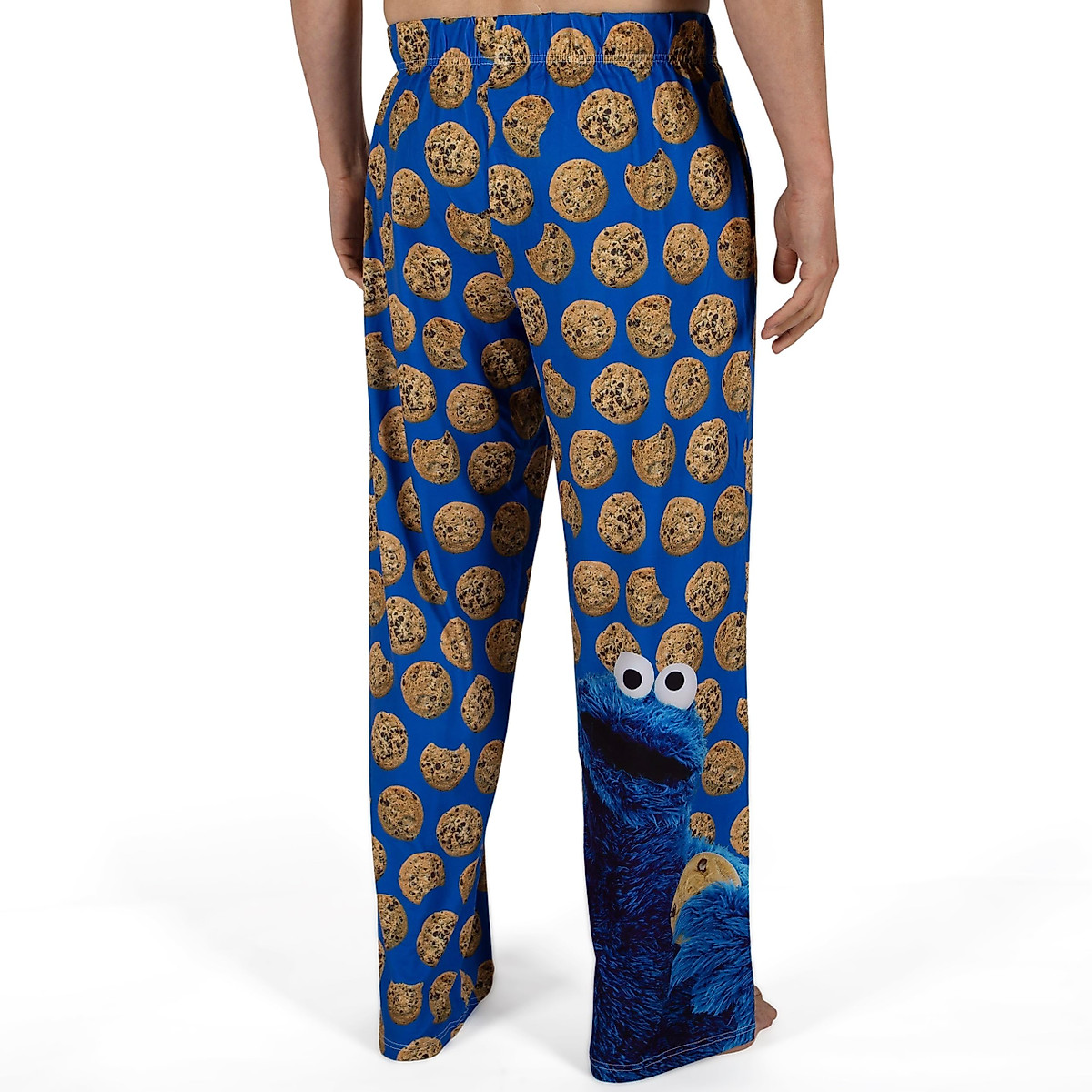 BRIEF INSANITY Sesame Street Adult Lounge Pajama Pants - Comfy, Loose-Fit, Ultra-Soft - Cookie Monster Sleep Bottoms (Large, Cookie Monster)