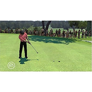 Tiger Woods PGA Tour 08 - Playstation 3 (Renewed)