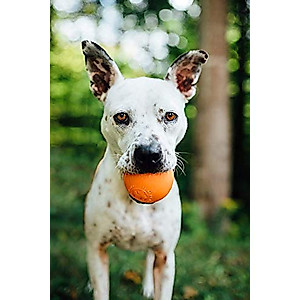 Planet Dog Orbee-Tuff Squeak Ball Orange Dog Fetch Toy