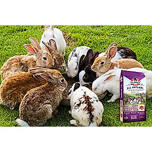 Kalmbach Feeds 18% Best in Show Rabbit Feed for All Rabbits, 50 lb Bag