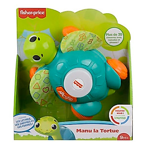 Fisher-Price Linkimals Sit-to-Crawl Sea Turtle