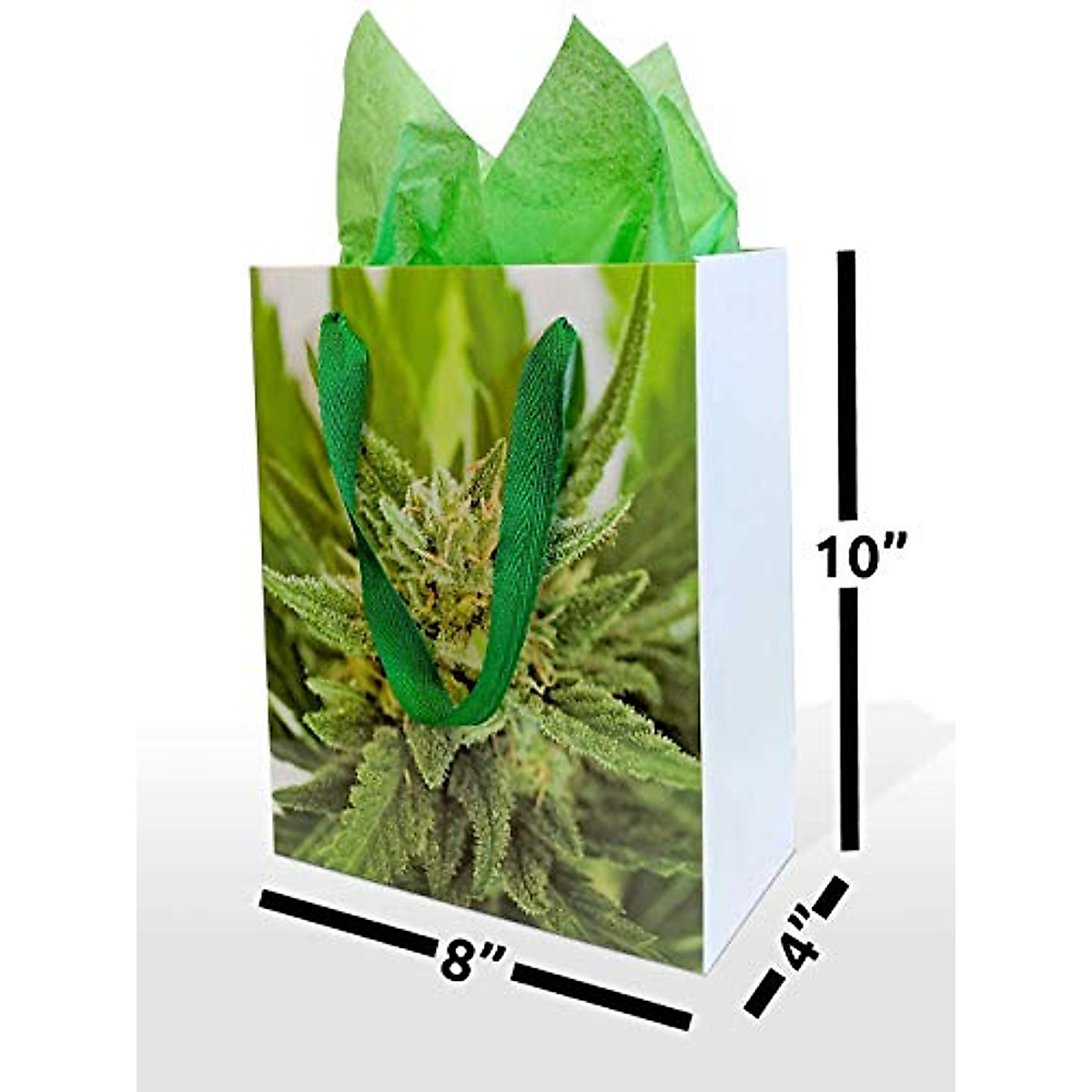 Gift Bag with Tissue, Medium Size, Hemp Bud Print, with Cotton Handles