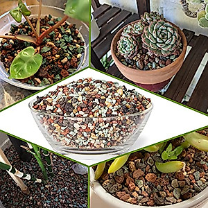 Succulent Pots, 10 Inch Large Succulent Planters with Stand - Ceramic Bonsai Pot with Drainage for Indoor Plants Cactus Flower Planter Pot Plus Succulent Planting Tools Set & 2.2lb Mix Pebbles