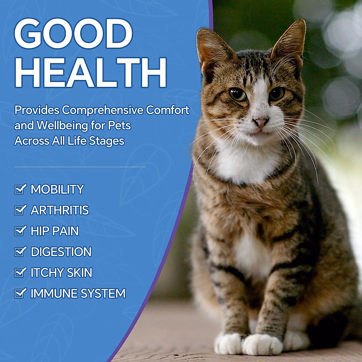 WEALLIN Hemp Oil for Dogs and Cats, Rich in Omega 3, 6, 9 and Organic Extract Helps Pets with Anxiety, Pain, Skin and Coat Health, Stress, Hip and Joint Support, Pet's Calming Treat (1 Pack)