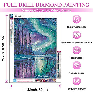 DIYCYCY Aurora Landscape Diamond Art Kits for Adults,DIY 5D Diamond Painting Kits for Beginners,Round Full Drill Diamond Dots Paintings Picture Gem Art Craft for Home Wall Art Decor Gifts 12x16inch