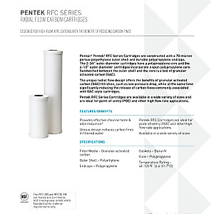 Pentair Pentek RFC-20BB Big Blue Carbon Water Filter, 20-Inch, Whole House Heavy Duty Radial Flow Carbon Replacement Cartridge with Granular Activated Carbon (GAC) Filter, 20" x 4.5", 25 Micron