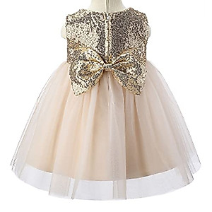 Bow Dream 2pcs Baby Girl Dresses Party Infant Birthday Gown for 0-24 Months Gold Sequin Champagne Tulle 3-6 Months