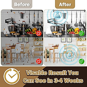 10 Pack Roach Repellent for Indoor Home, Natural Peppermint and Citronella Formula Cockroach Away Solution, Roach Deterrent for House Kitchen Pest Control