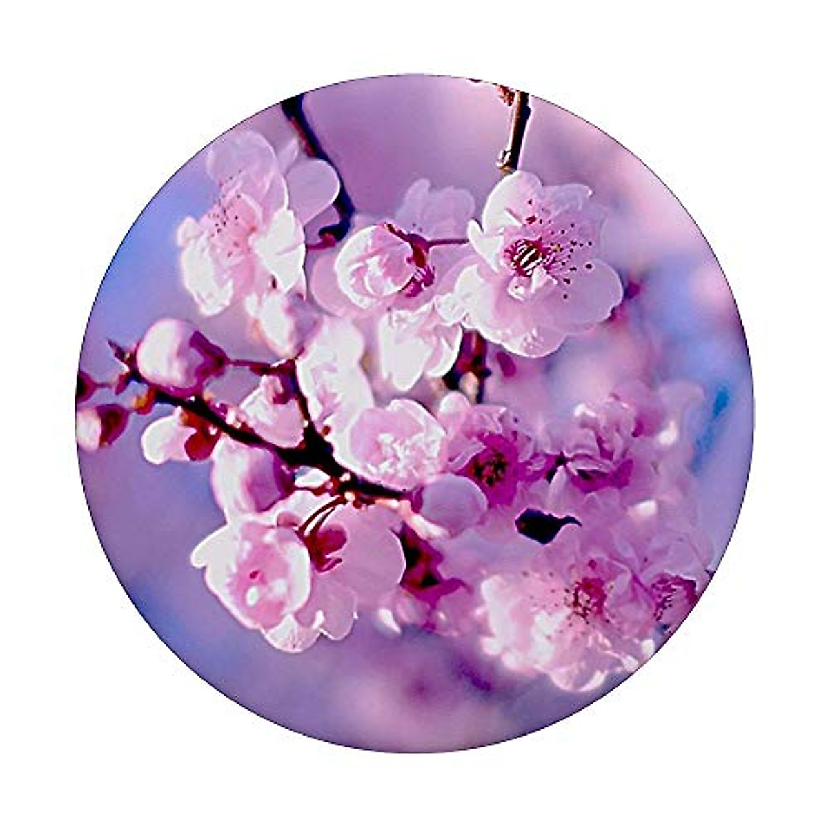 Pink Flowers Sakura Pop Mount Socket Japanese Cherry Blossom PopSockets PopGrip: Swappable Grip for Phones & Tablets