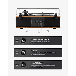 ANGELS HORN Vinyl Record Player, Bluetooth Turntable with Built in Speakers Phono Preamp, High Fidelity Turntables for Vinyl Records with Magnetic Cartridge AT-3600L, Belt Drive 2-Speed