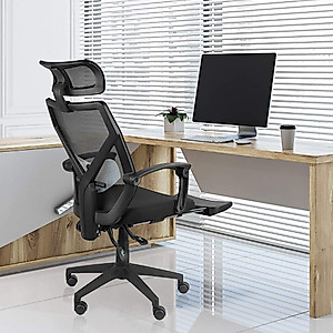 Dripex Ergonomic Office Chair Mesh Computer Desk Chairs with Lumbar Support/Adjustable Headrest/High Back/Wheels Arms, Swivel Rolling Chair for Home Office