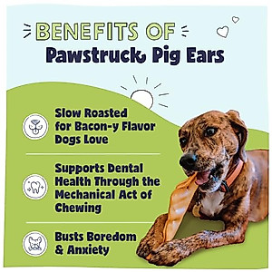 Pawstruck Pig Ears For Dogs-Bulk Pork Dental Treats Dog Chews 10 Ear(s)