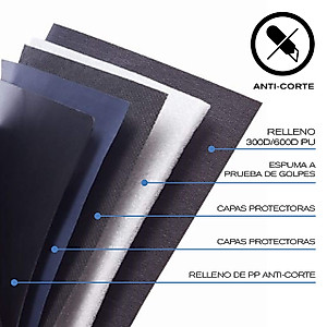 XDDesign P705.571 Bobby Bizz Anti Theft Compact Travel Laptop Backpack and Briefcase with USB Port, Integrated Lock, and Hidden Compartments, Black