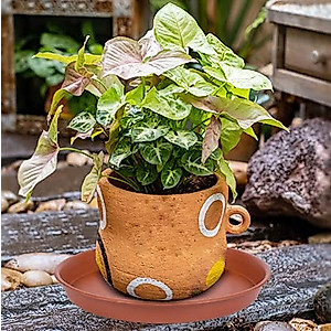 Bleuhome 6 Pack of 6 inch Plant Saucer, 4 6 8 10 12 14 16 inch Plant Saucers, Heavy Duty Plastic Plant Water Tray Round, Planter Drip Trays for Pot, Flower Saucers for Indoors (6 inch, Terracotta)