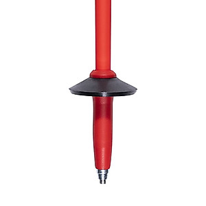 Swix Winter Sports Slalom Recreational Competition Alpine Skiing Racing Freeriding WC Pro SL Carbon Poles, 125cm