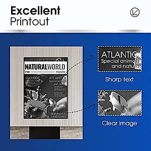 822XL Remanufactured Replacement for Epson 822 Black Ink Cartridges T822 T822XL for Workforce Pro WF-4820 WF-4830 WF-3820 WF-4833 WF-4834 Printer WF 3820 4820 4830 4833 4833(2 Pack)