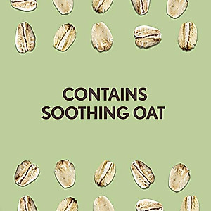 Aveeno Daily Moisturizing Body Wash for Dry & Sensitive Skin, Hydrating Oat Body Wash Nourishes Dry Skin With Moisture, Soothing Prebiotic Oat & Rich Emollients, Light Fragrance, 18 fl. oz