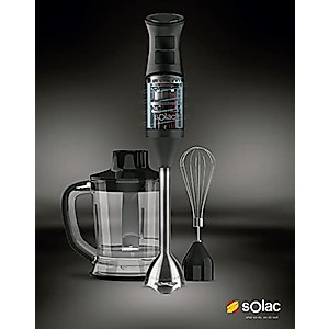 Solac Professional 1000W* Stainless Steel Hand Blender w/Accessories Kit,Standard,SJK-1172