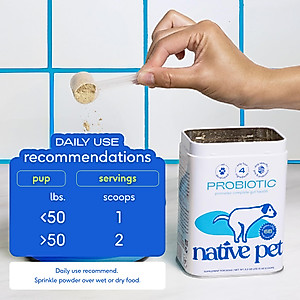 Native Pet Probiotic for Dogs - Vet Created Probiotic Powder for Dogs Digestive Issues - Probiotic Powder + Prebiotic + Bone Broth Powder Pet Food for Dog Stomach Relief - 232 Gram 6 Billion CFU 4.1oz