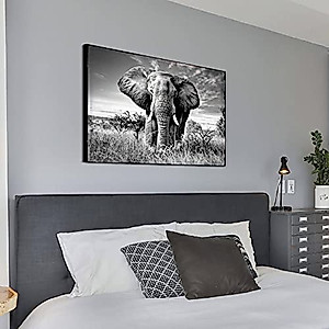 SunFlax Elephant Wall Art Canvas Artwork: African Wild Animals Picture Jungle Landscape Large Painting Black and White Wildlife Portrait Print for Modern Living Room Bedroom Bathroom Ready to Hang