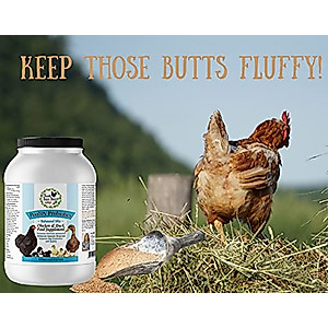 FRESH EGGS DAILY Poultry Probiotics Feed Supplement Vitamins for Backyard Chickens and Ducks 6LB