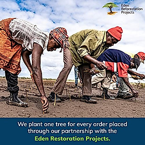 EVERSPROUT 12-Foot Fruit Picker (20+ Foot Reach) | Telescoping Fruit Picker Pole, Easy to Attach Twist-On Apple Basket | Lightweight, High-Grade Aluminum Extension Pole with Fruit Picker Basket